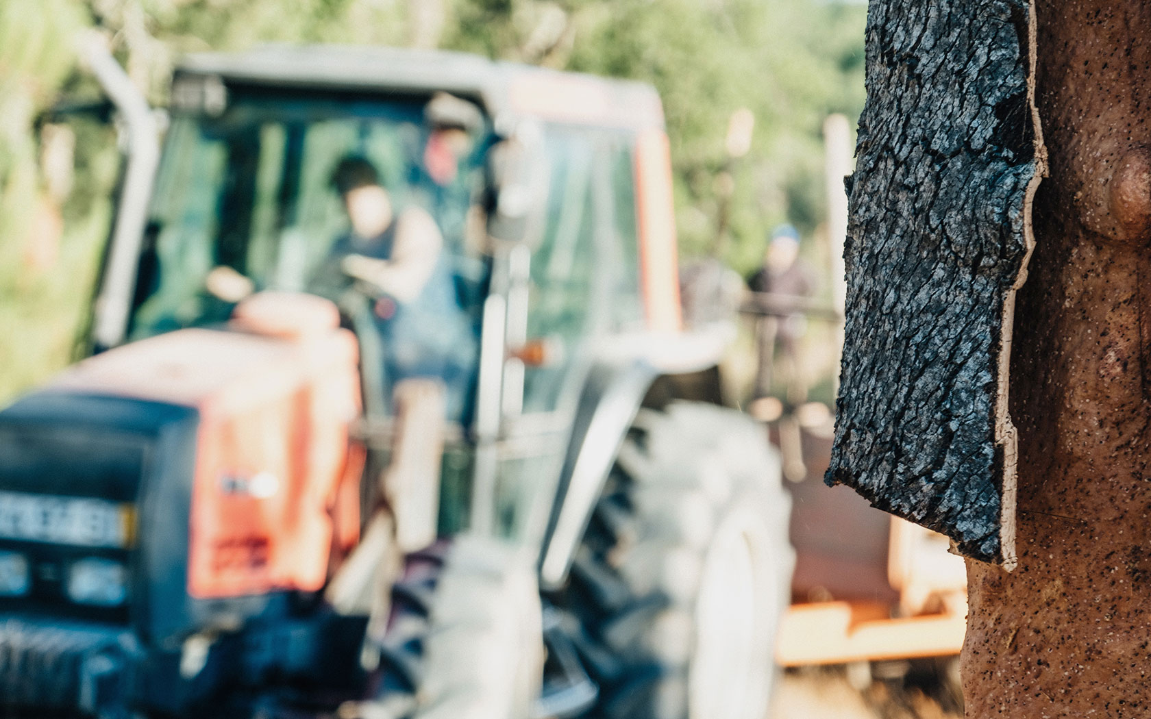 What is Cork | Why Cork > Amorim Cork Solutions