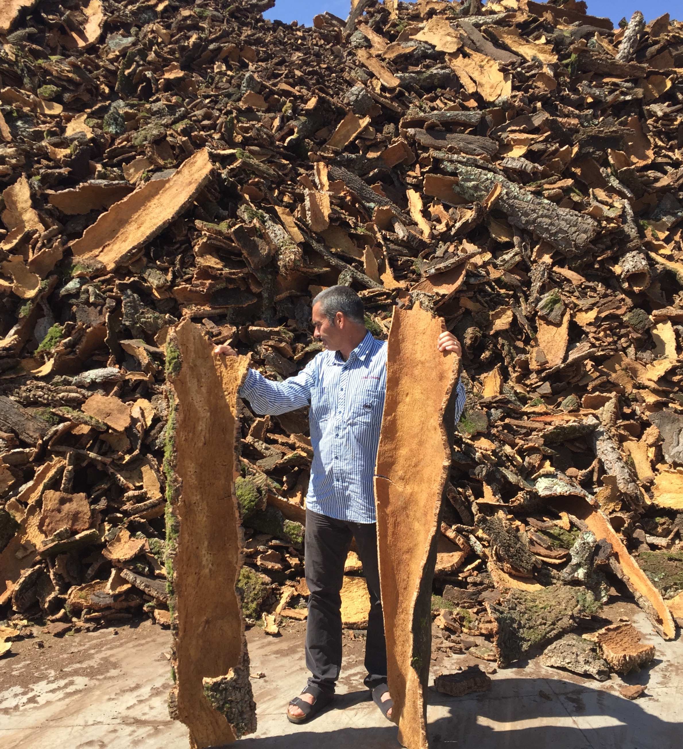 McNamara's Cork Surf Board | Case Studies > Knowledge Center > Amorim ...